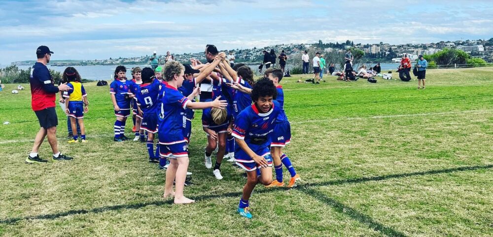 Plans to upgrade Clovelly sports field leaves community divided