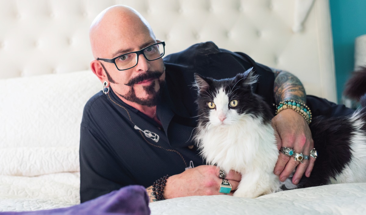 The cats are coming to town! Sydney Cat Lovers Festival