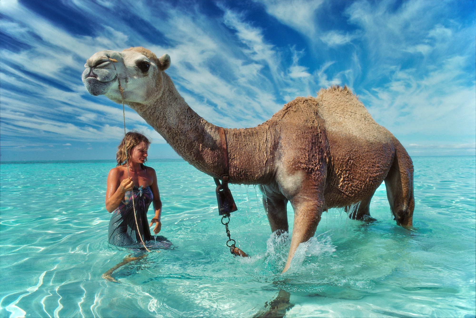 Unfinished Journey: The Odyssey of Robyn Davidson