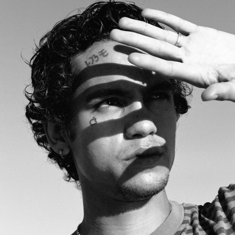 Line-up for Laneway Festival 2024